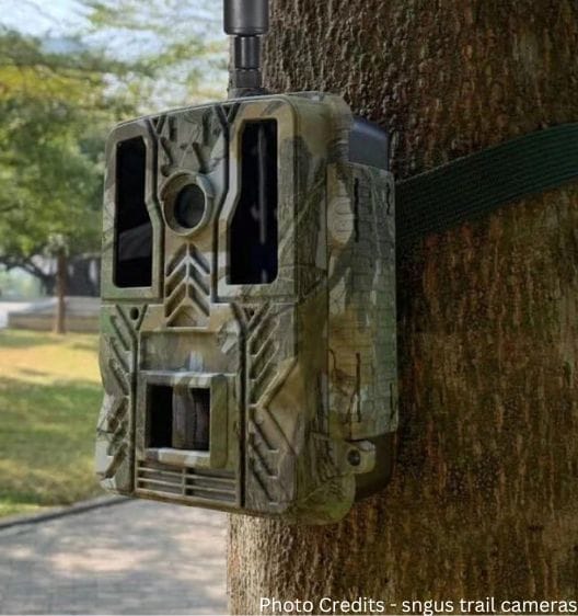 Quick and Easy: 7 Steps to Reset Your Trail Camera Effectively