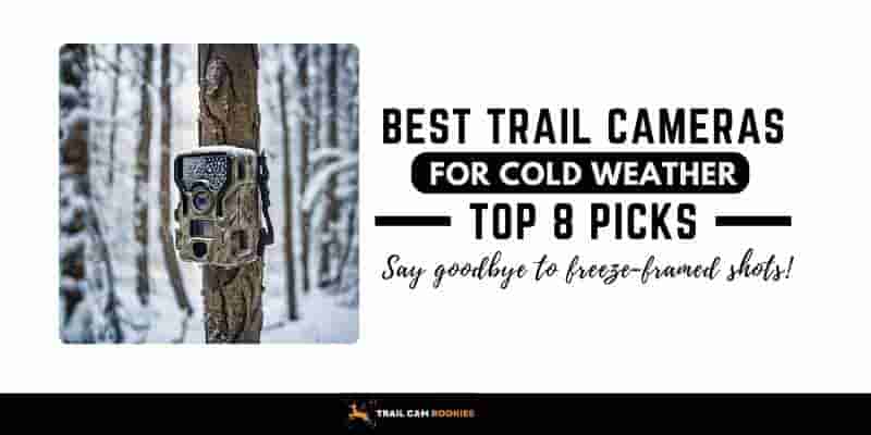 Chillingly Good - 8 Best Trail Cameras for Cold Weather in 2024