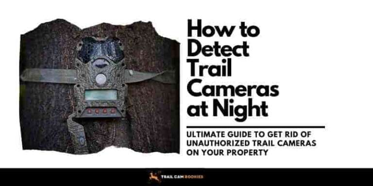 How to Detect Unauthorized Trail Cameras at Night: The Ultimate Guide