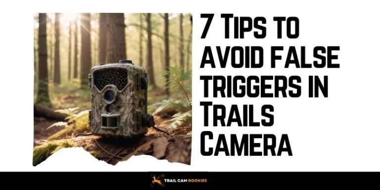Trail Camera Too Sensitive? 7 Tips to Tame Those False Triggers!