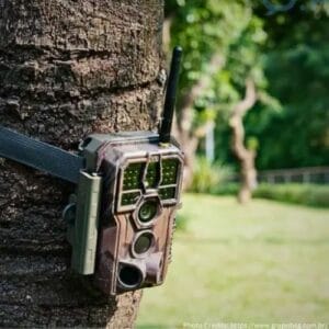 What is Shot Lag on Trail Camera? - The Ultimate Beginners Guide