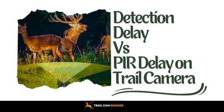 PIR Delay Vs Detection Delay on a Trail Camera - Setting it Right