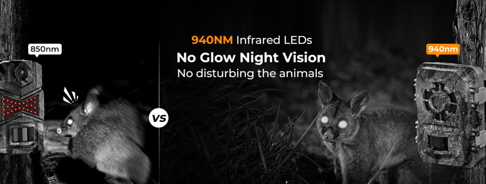 Infrared Trail Cameras Without Flash a.k.a No Glow Trail Cameras