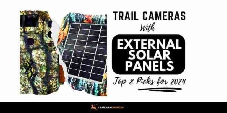 Best Trail camera with External Solar Panel: 8 Picks for 2025