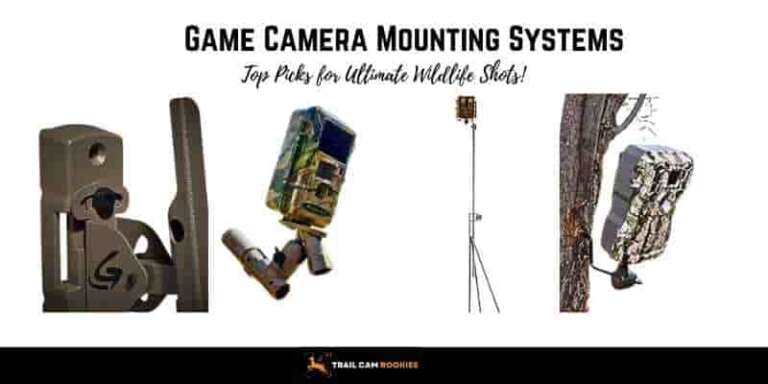 Game Camera Mounting Systems: Top Picks for Ultimate Wildlife Shots!
