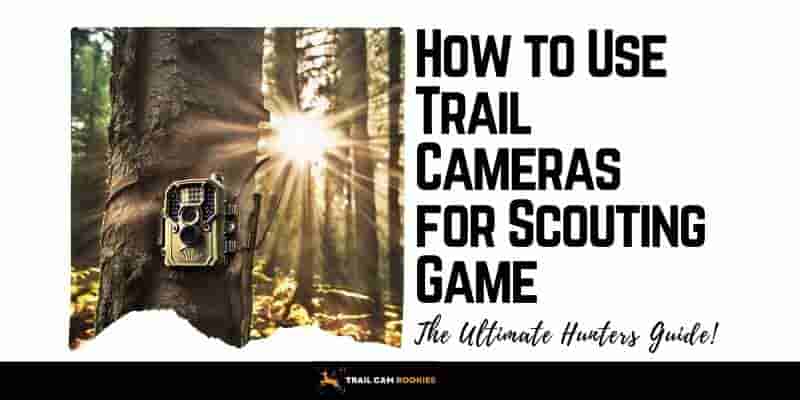 How To Guides | trailcamrookies.com