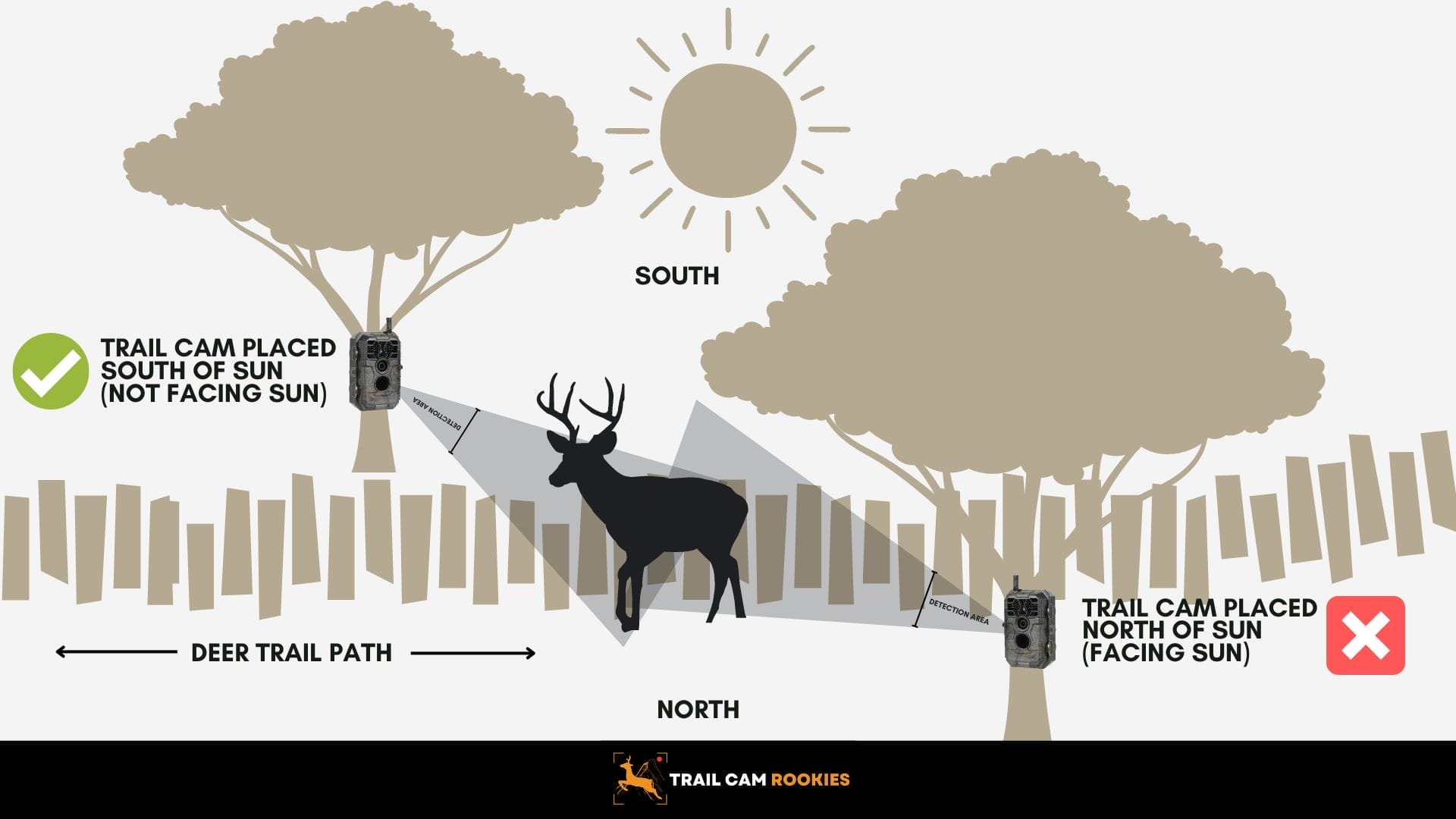How to Avoid Blurry Trail Camera Images: Insights, Tips and Fixes