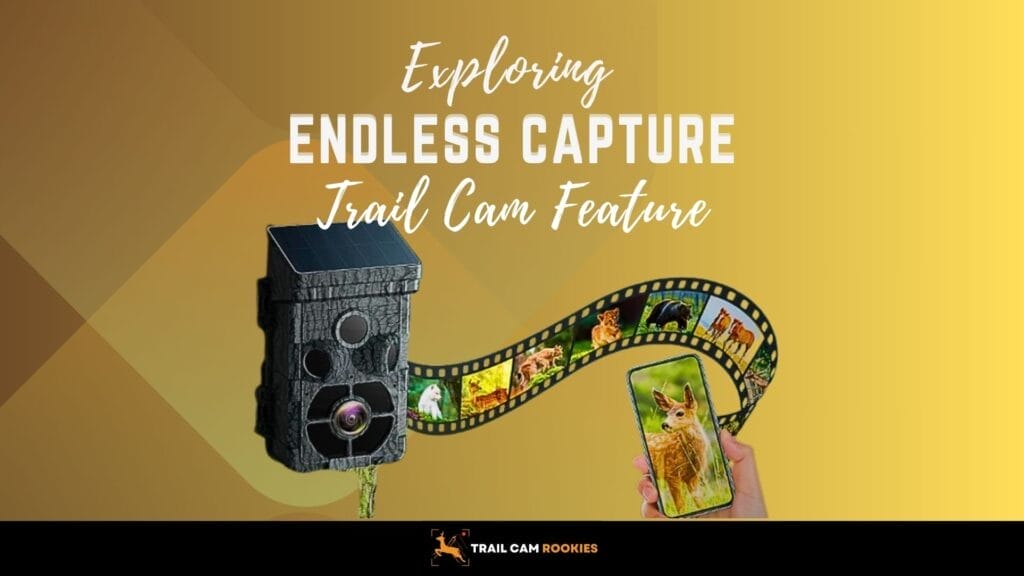 Exploring Endless Capture Trail Camera Feature - What You Need to Know