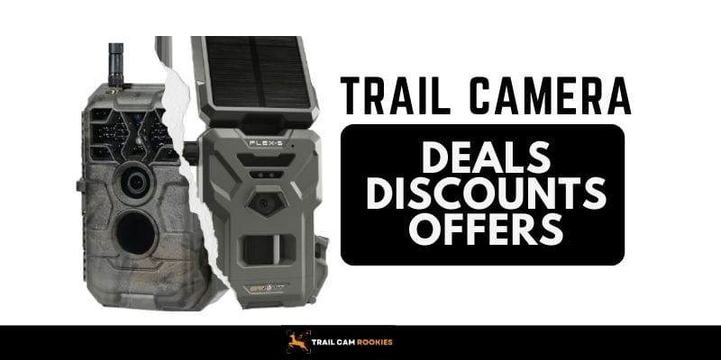 Pir Delay Vs Detection Delay On A Trail Camera Setting It Right