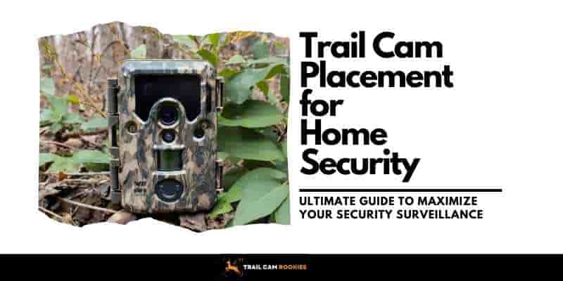 Best Trail Camera Deals - Updated for June 2024