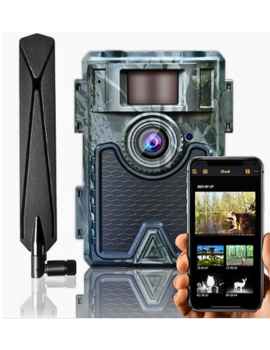 Best Trail camera with External Solar Panel: 8 Picks for 2025