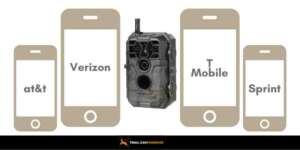 In Depth: How Do Cellular Trail Cameras Work, Step-by-Step