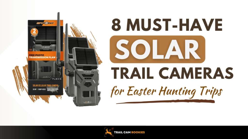 8 Must-Have Solar-Powered Trail Cameras for Easter Hunting Trips