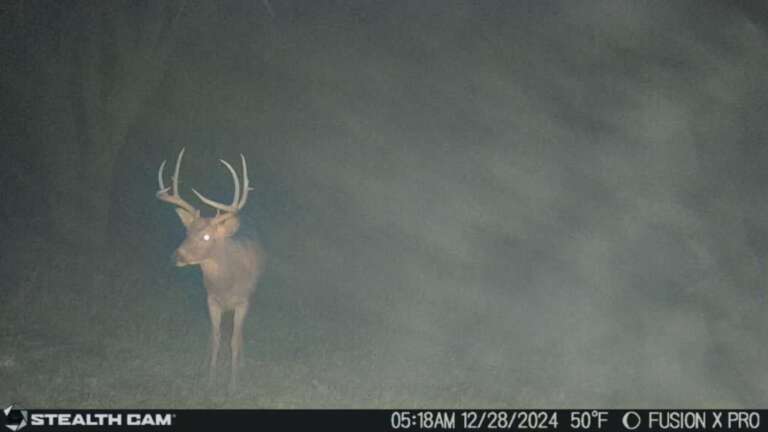 Trail Camera Fogging Up? Don't Replace It! Try These Simple Hacks First